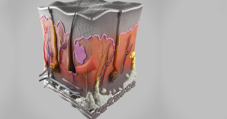 Demodex: Manejo y tratamiento - FacoElche.com