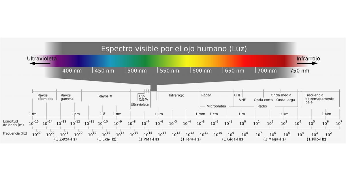Absorción Del Espectro De Luz